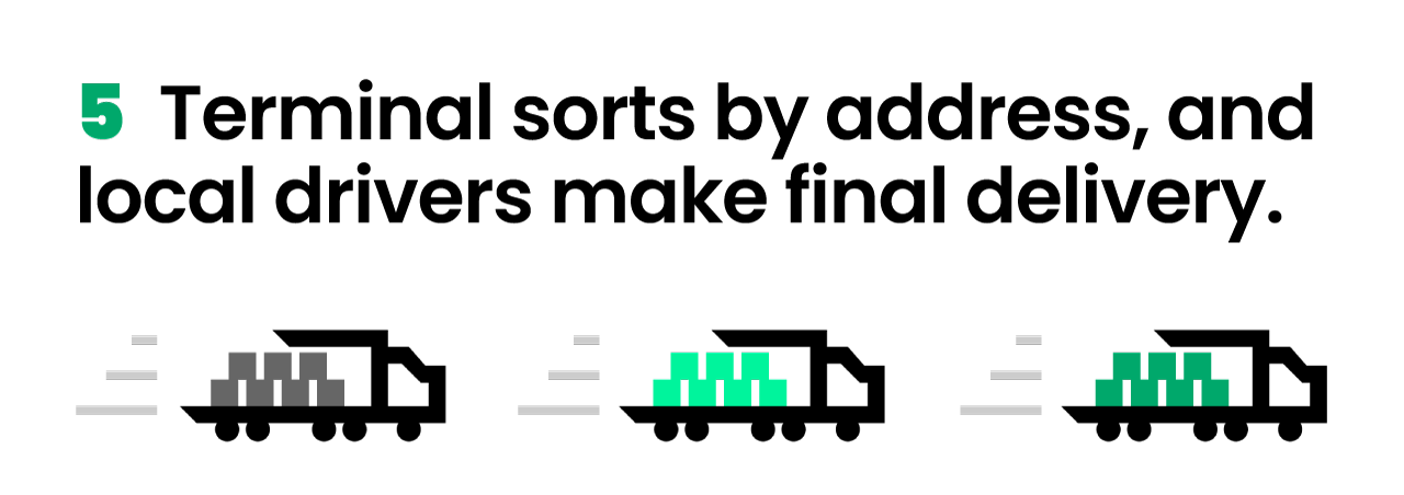 The 7 Different Types of LTL Carriers (& When to Use Each)